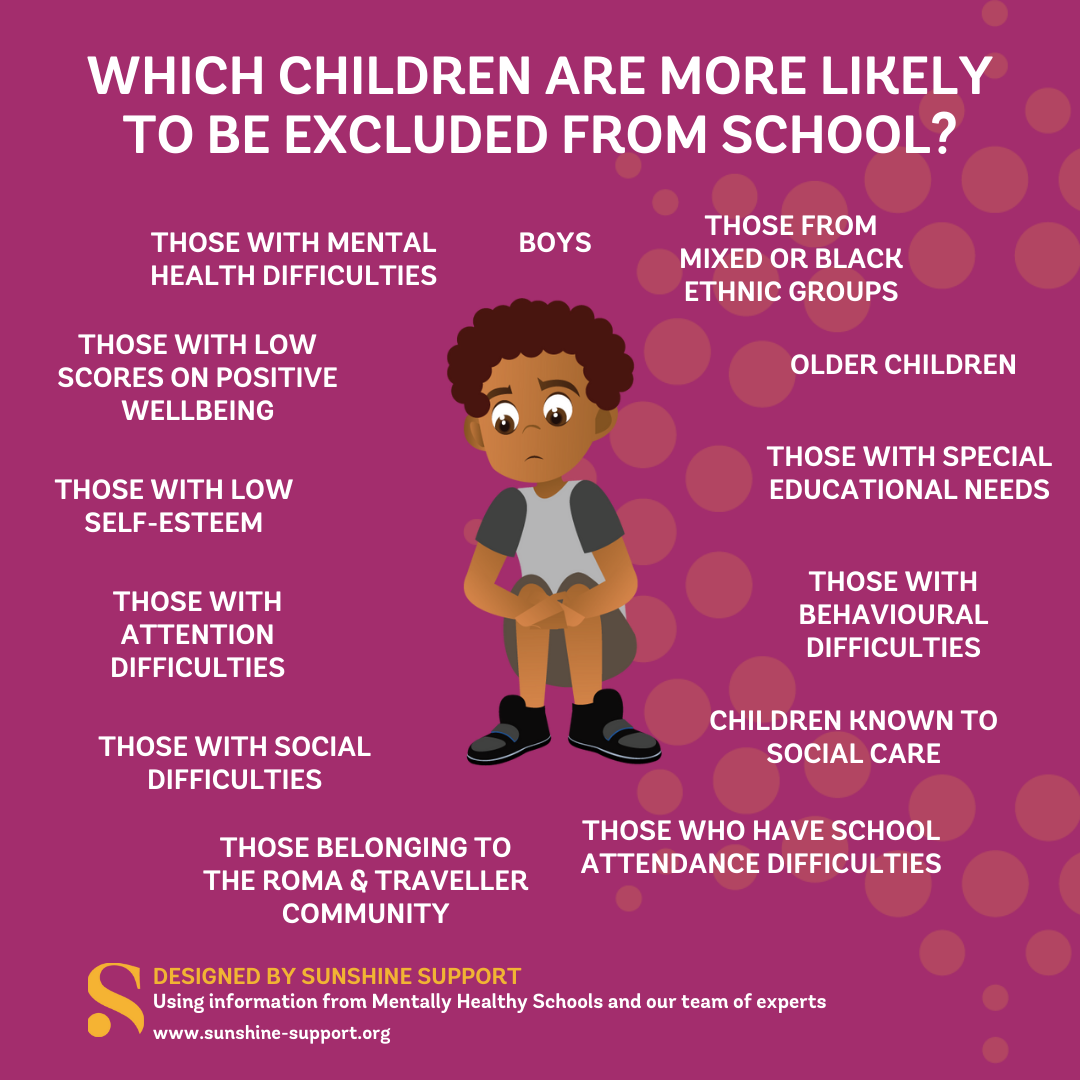 Reasons for Exclusions - Free Download - Sunshine Support